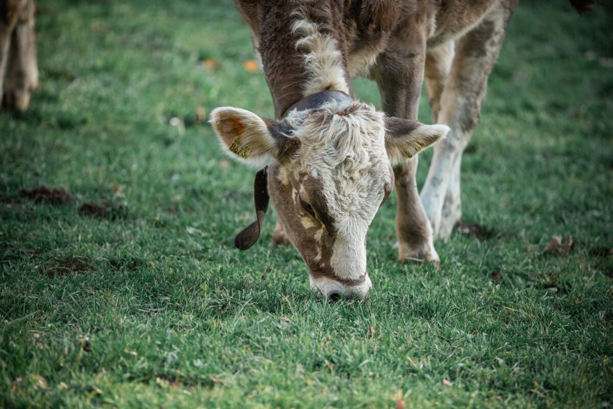 Solutions For Water Intensive Food Production - Moerk Water