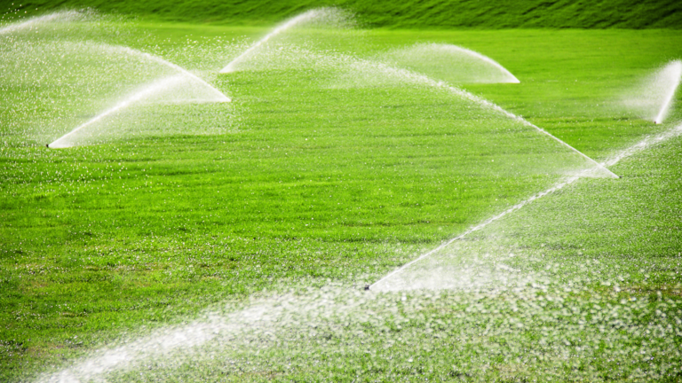 Custom Designed & Built Water Treatment Systems - Moerk Water